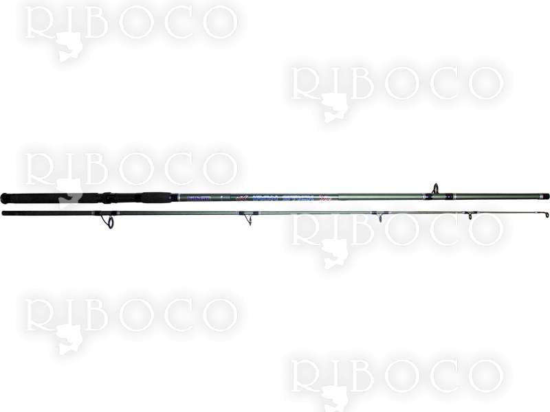 Fishing Rod Filstar Iron Stick from fishing tackle shop Riboco